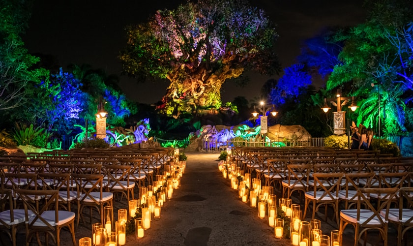 Wedding tree ceremony 60 photos - Astyledwedding.com