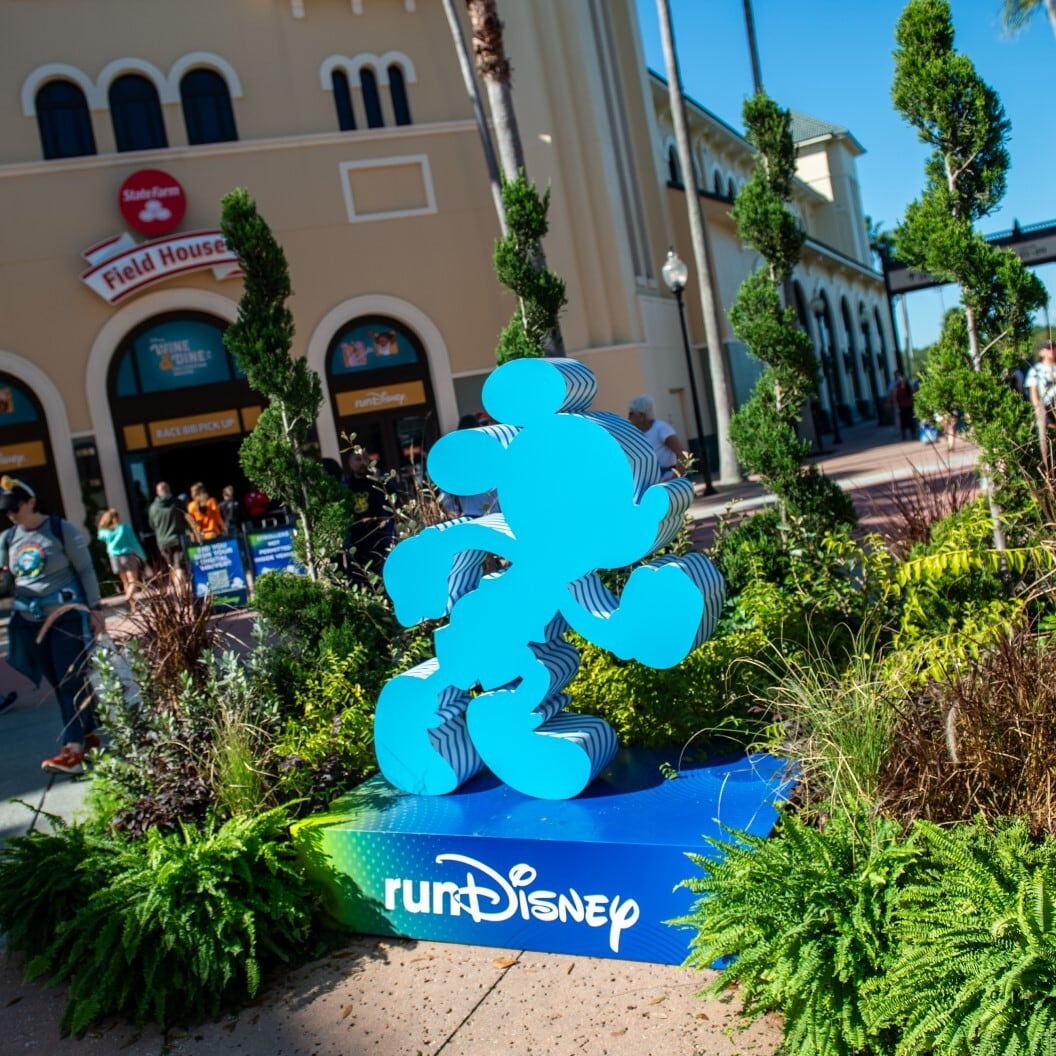 Runner Info | Walt Disney World Marathon Weekend | runDisney