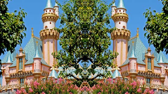 About Our Company | Disney Institute